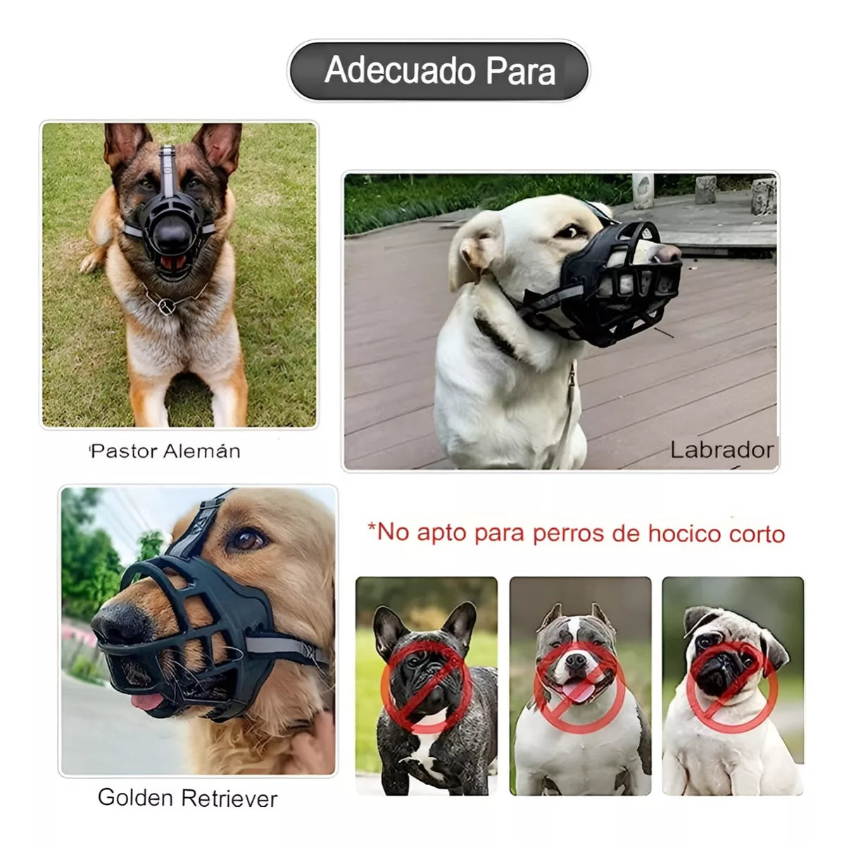 Bozal Para Perro Pequeño Bosal Perros Medianos Bozal Perro